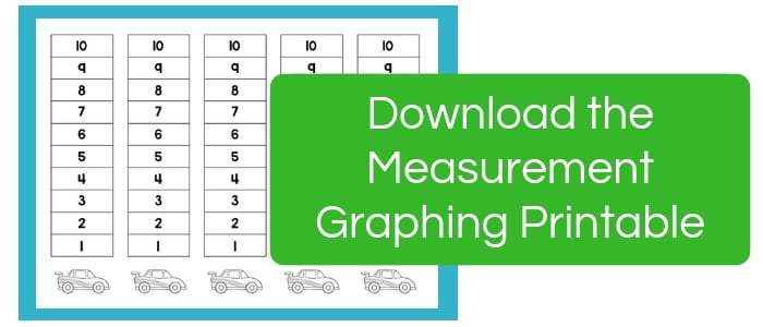 Measurement and Graphing Activity - Typically Simple