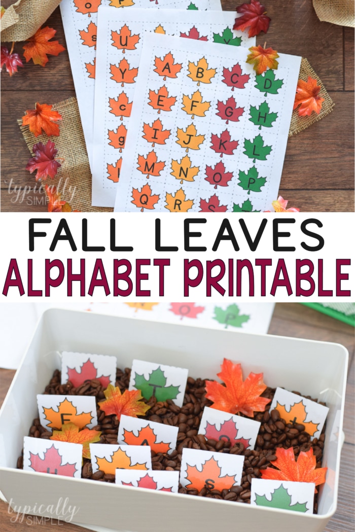 FallLeavesAlphabet - Typically Simple